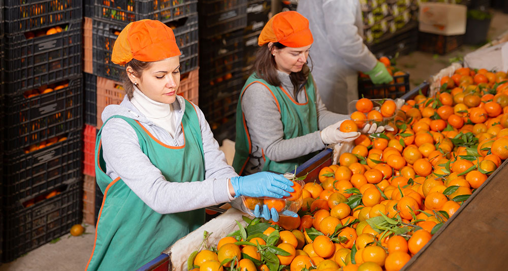 Top 10 Workplace Safety Tips Every Employee Should Know - Arbill